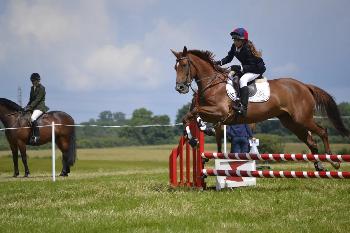 Egton Horse and Agricultural Show | Events